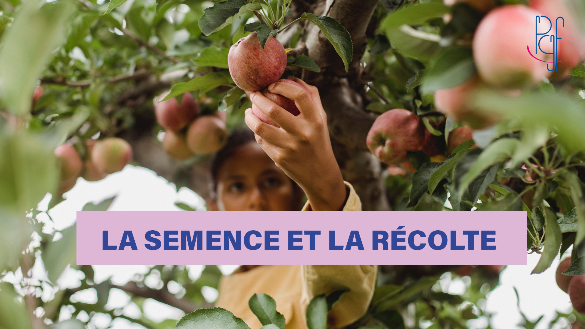 La semence et la récolte - Partage Grâce Faveur